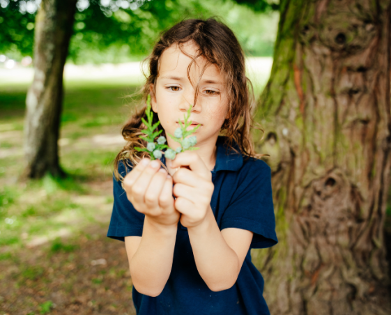 Fundraising & Development | Statamic